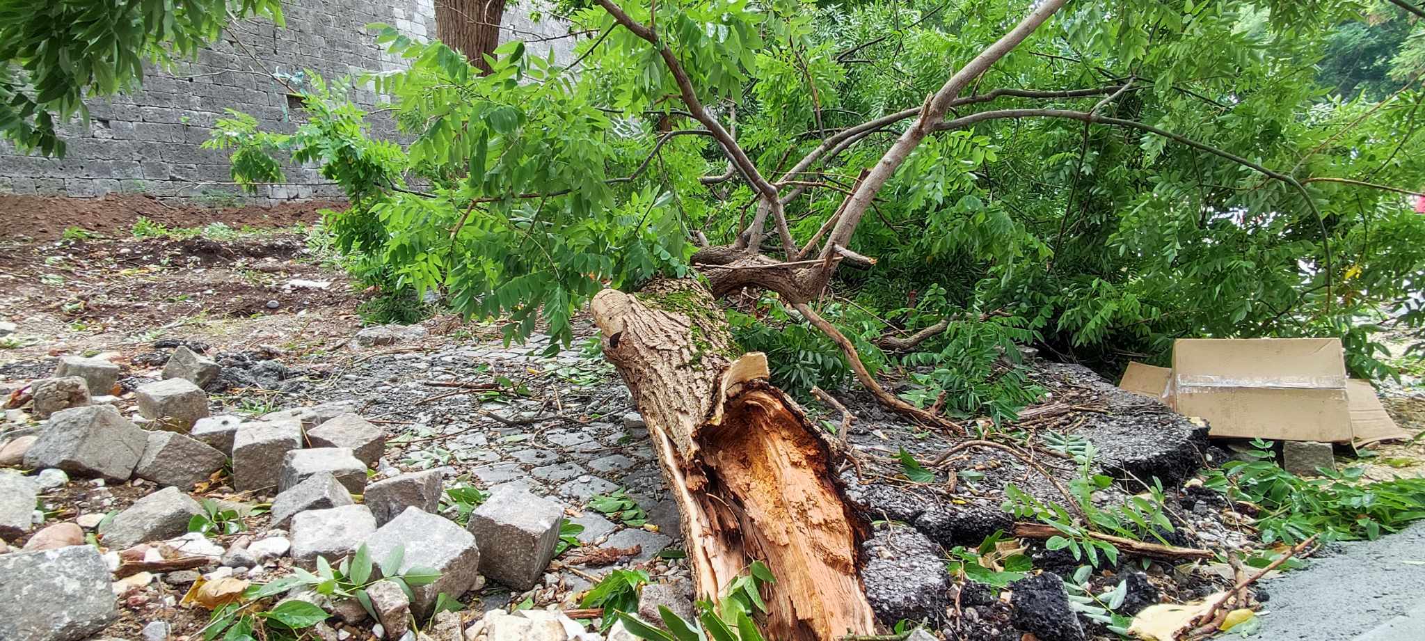 Povredjeno više od deset Nišlija. Padale terase, crepovi, limovi ...